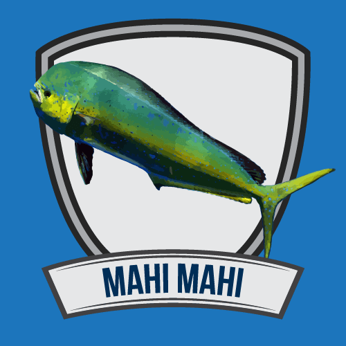 Legendary 5 ⭐️ Mahi Mahi Fishing Charters - SurReel Charters